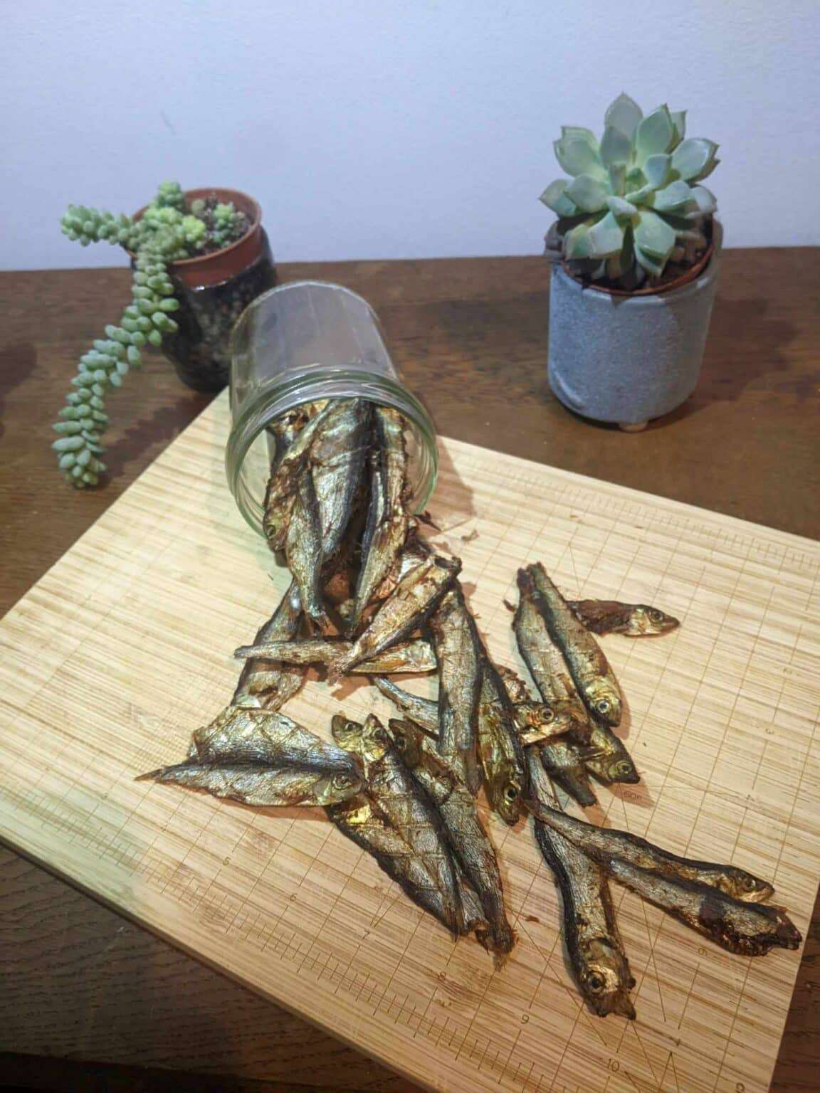 Dried Sprats (80g) - Omega 3-Rich Treat for Dogs - Bark Bites